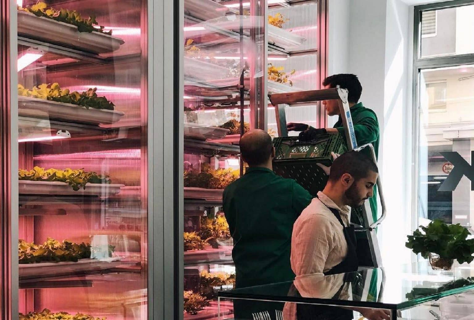 Infarm, the New Generation of Farmers - AgriExpo e-Magazine